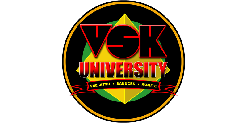 | VSK UNIVERSITY