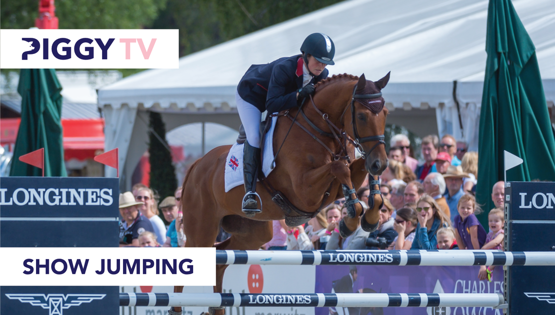 Show Jumping | Piggy TV