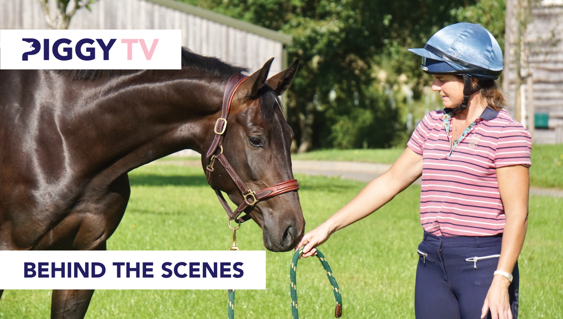 Behind The Scenes | Piggy TV