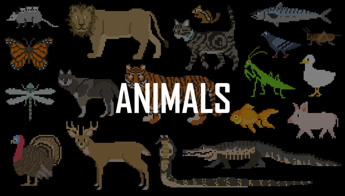 Animals | The Kids' Picture Show