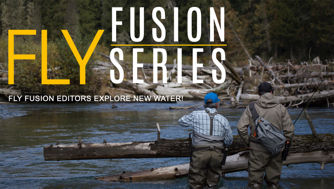 Fly Fusion Series