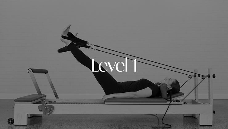 Level 1 Full Body Workout