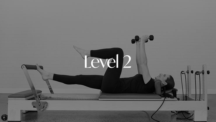 Level 2 Full Body Workout