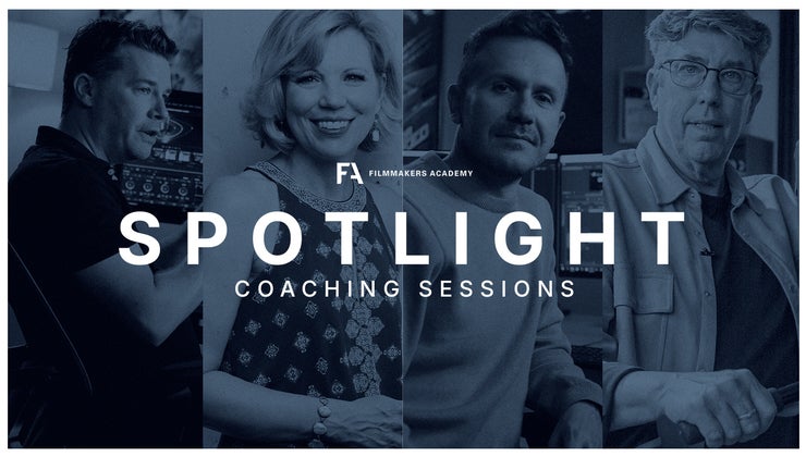 Spotlight Group Coaching Calls