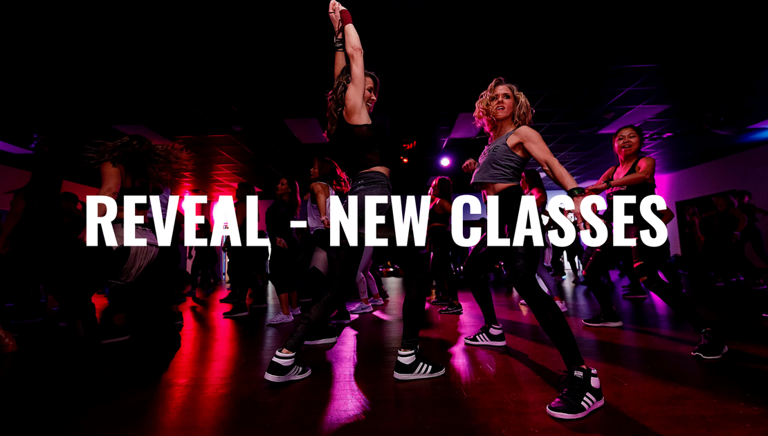 REVEAL CLASSES - NEWEST RELEASES