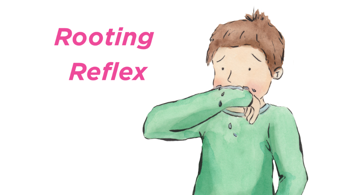Rooting Reflex