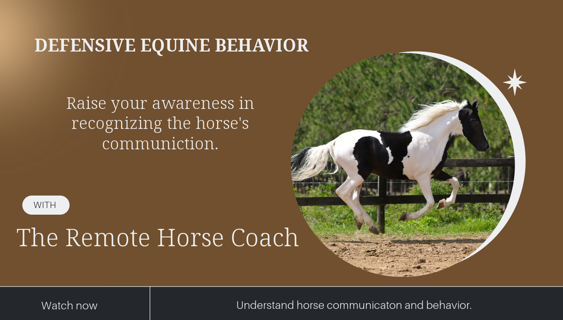 Defensive Horse Behavior Videos by Alternative Horsemanship