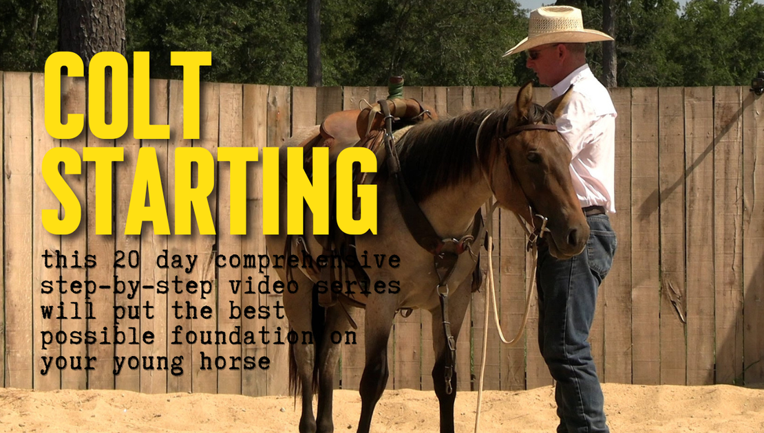 Colt Starting - ES20 - Epic Success In 20 Days