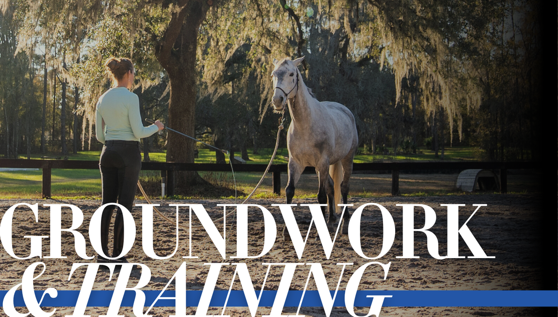 Groundwork for Horses | Build Connection & Confidence