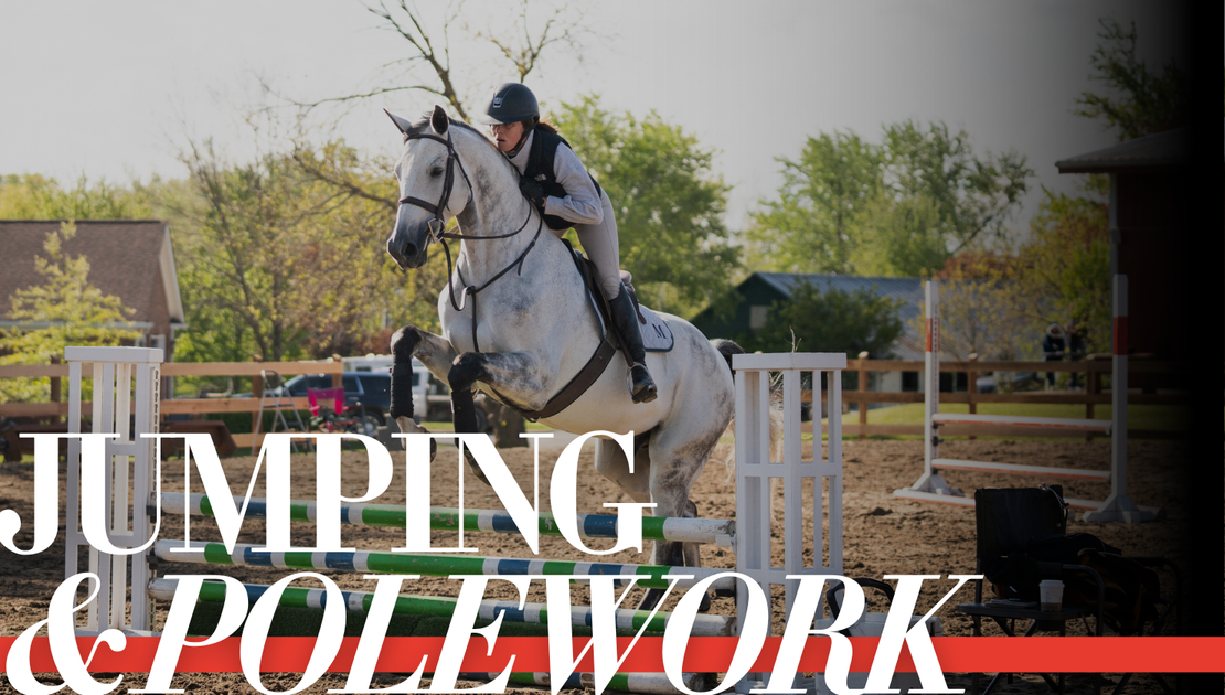Jumping Lessons & Polework | Improve Rhythm & Rideability