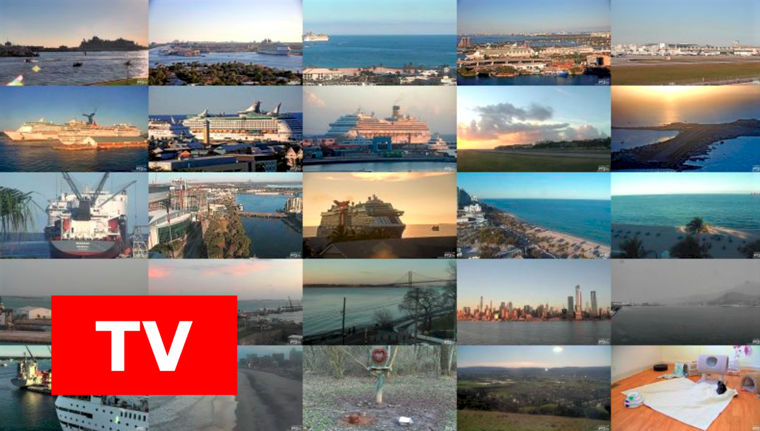 Live Cameras : no DVR - better for TV apps - in order of popularity ...