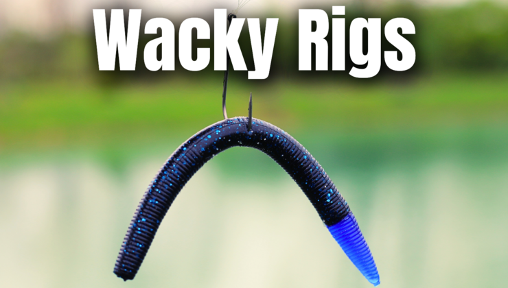 Wacky Rig Bass Fishing