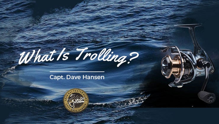 Trolling Meaning