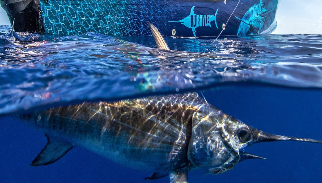 Swordfish | The Crew Platform