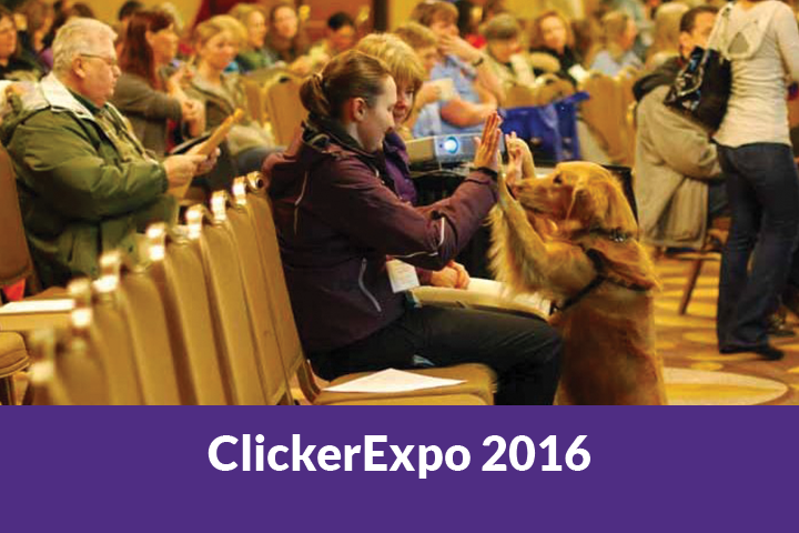 ClickerExpo 2016 | Video on Demand by Karen Pryor Clicker Training