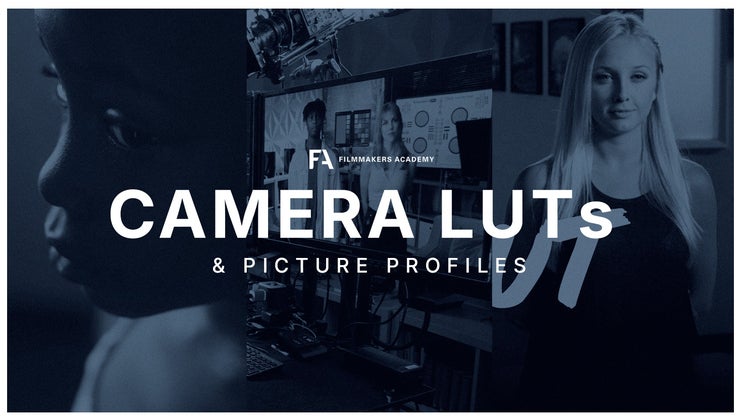 Camera LUTs & Picture Profiles