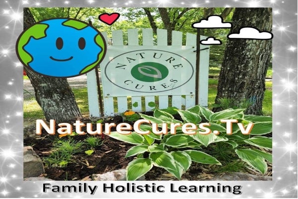 On-Line Education Holistic Learning for Families