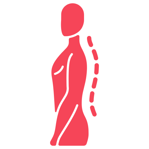 Posture Alignment Academy | Catalog