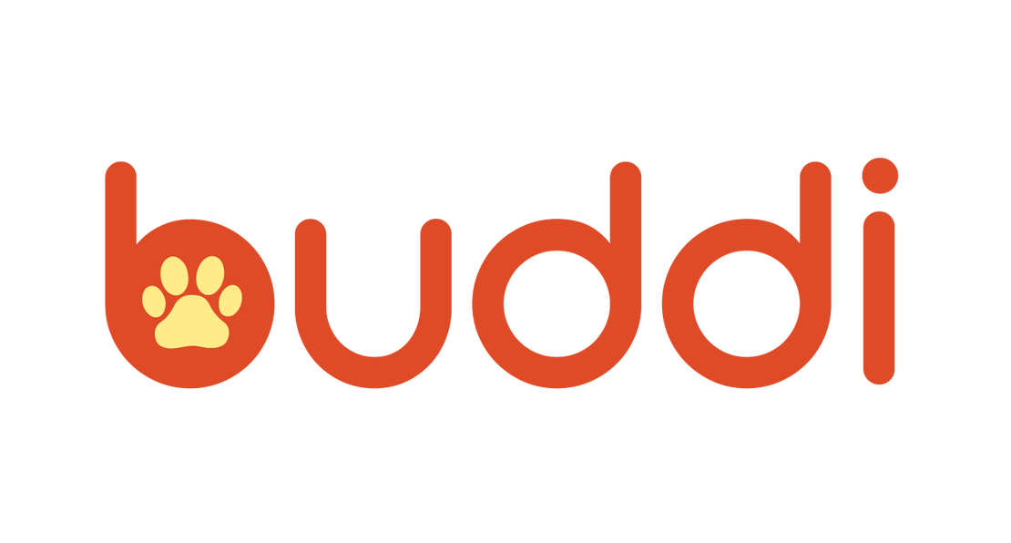 buddi