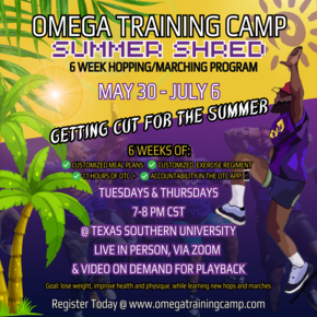 Omega Training Camp | The Ultimate Hop Cardio & Fitness Experience for ...