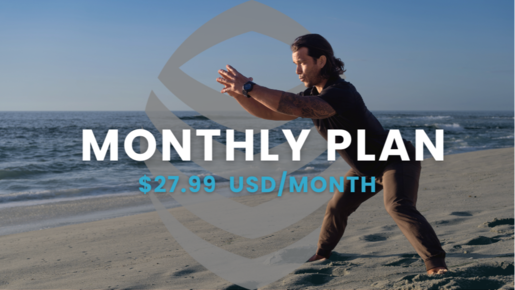 Foundation Training Streaming