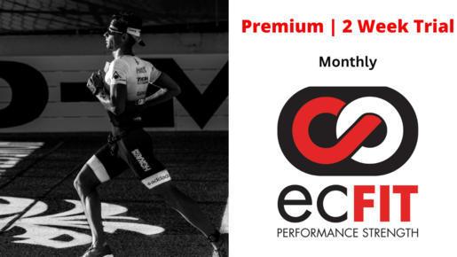 ECFIT Performance Strength