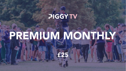 Piggy TV