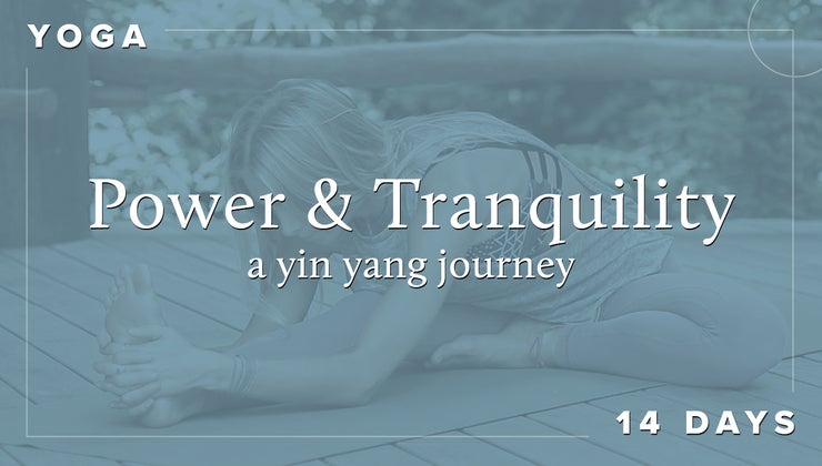 Yin And Yang Journey I 14 Day Yoga Training Schedule