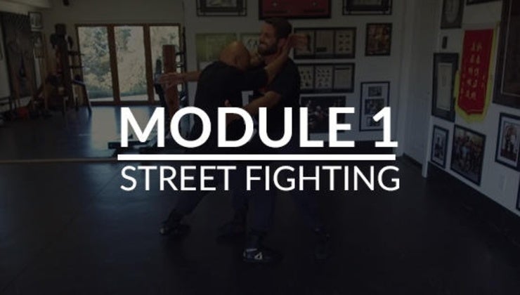 Module 1: Street Fighting | Budo Brothers TV