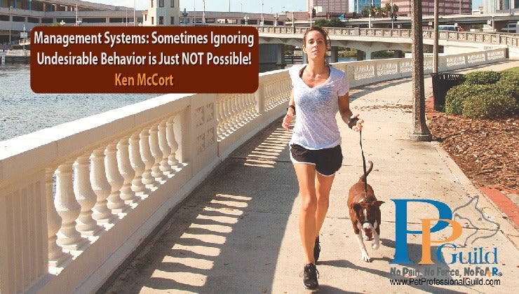 Management Systems | Tawzer Dog