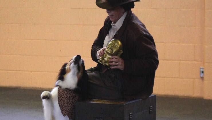 Platform Training Basics and Beyond: Strategic Reward Delivery for ...