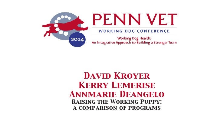 Raising the Working Puppy: A comparison of programs | Tawzer Dog