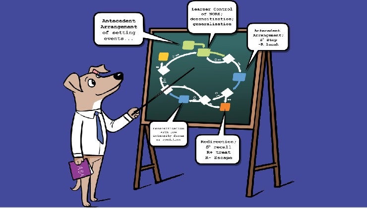 BAT for Geeks: A Technical Perspective on Behavior Adjustment Training ...