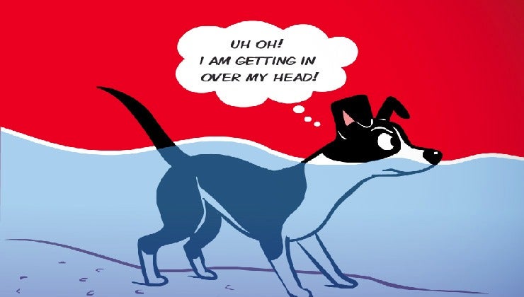 Survival Skills: Coping With Dog Reactivity in Real Life | Tawzer Dog