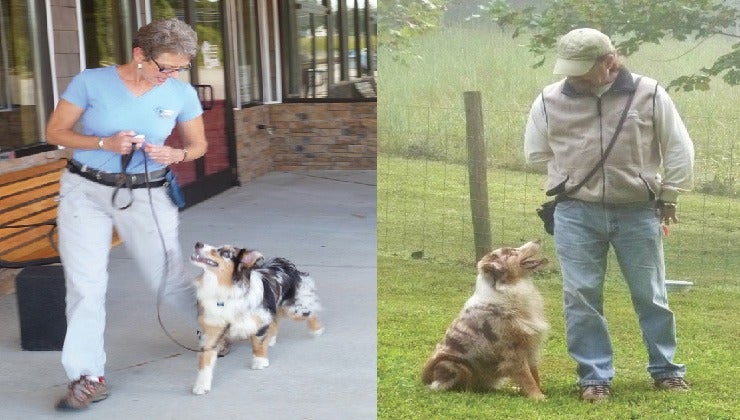 Fabulous Focus: Focus & Attention for Both Ends of the Leash | Tawzer Dog