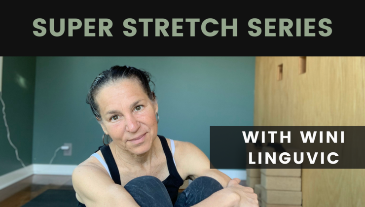 Super Stretch Spring Collection | The Elevate Practice