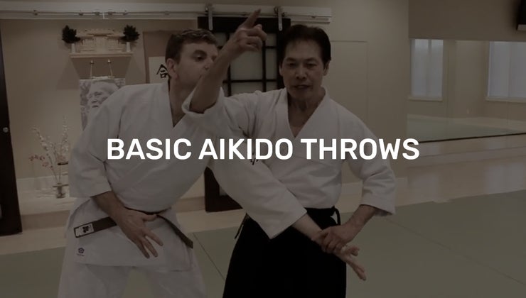 Basic Aikido Throws | Budo Brothers TV