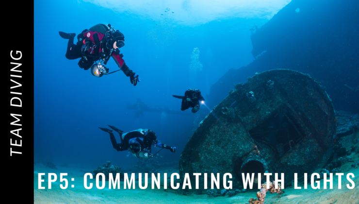 Essential Guide to Diving Lights and Signals