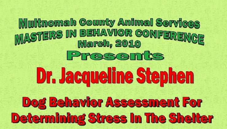 Dog Behavior Assessment For Determining Stress in the Shelter | Tawzer Dog