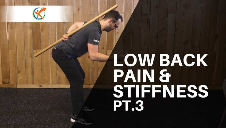 Basics | Exercises for Low Back Pain & Stiffness Pt. 3 | Experience ...