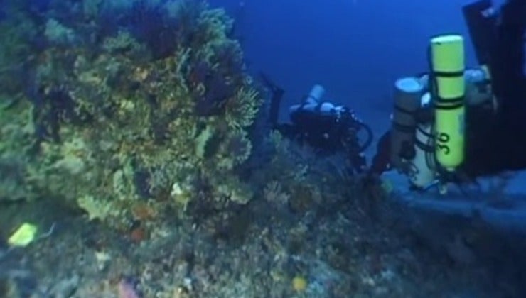GUE: Uniting Passion and Preservation for the Aquatic Realm