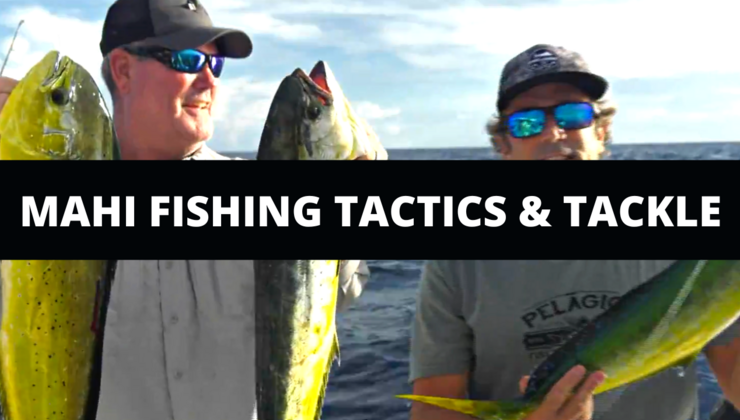 Mahi Fishing Tactics & Tackle | The Crew Platform