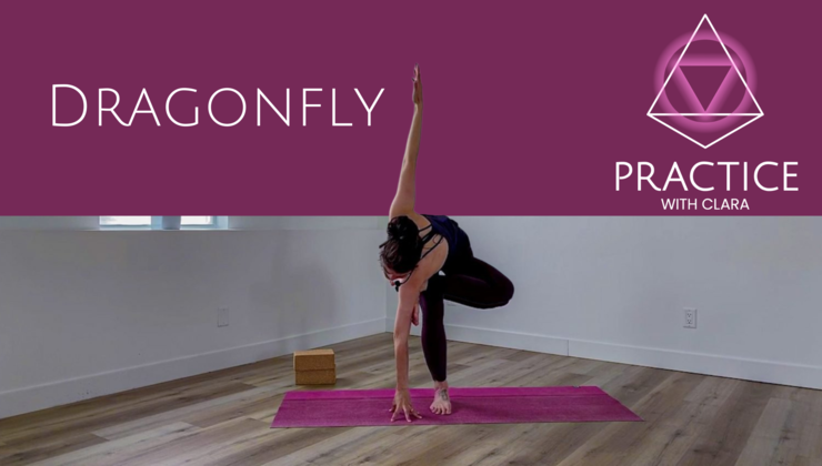 Dragonfly (120-mins) VInyasa