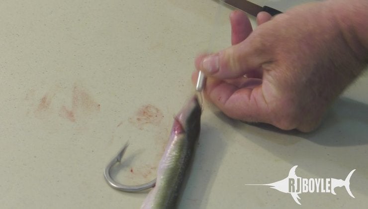 How To Rig An Eel | The Crew Platform