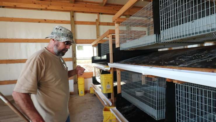 Rabbit Hutches that Automatically Collect rich manure and urine ...