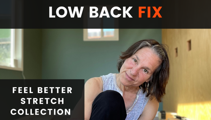 Low Back Fix | The Elevate Practice