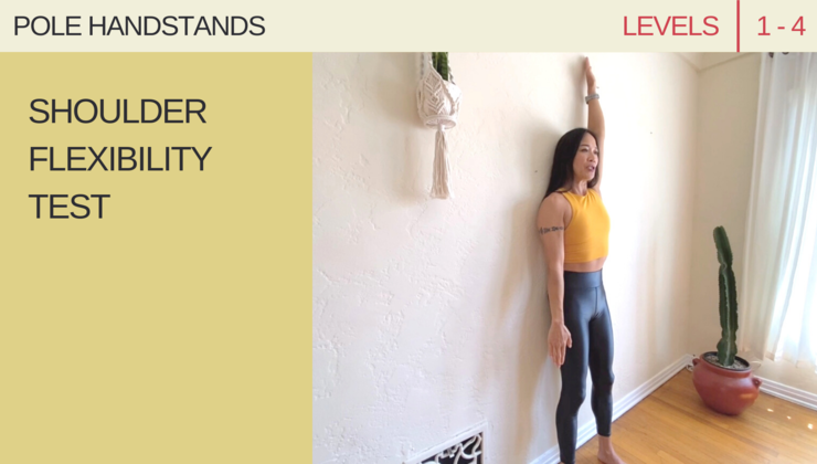 Shoulder Flex Test 4 Polestands