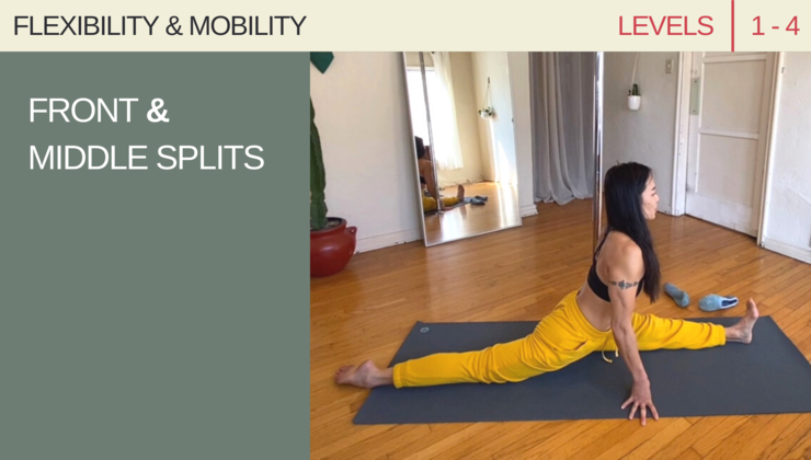 Flexibility: Front & Middle Splits