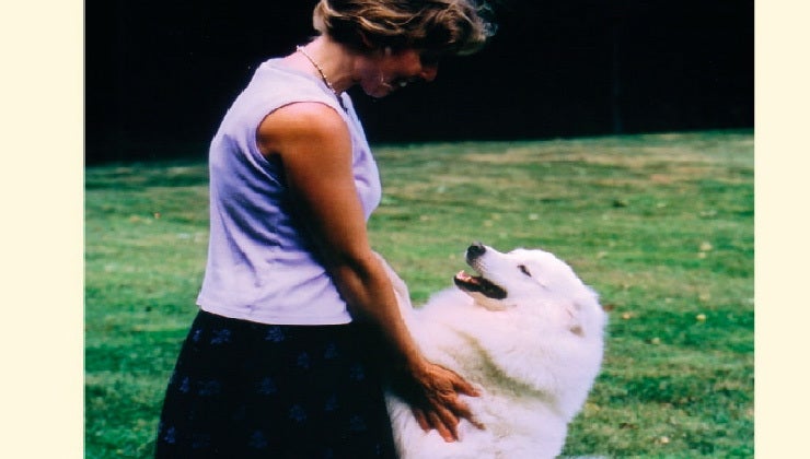 For the Love of a Dog | Tawzer Dog