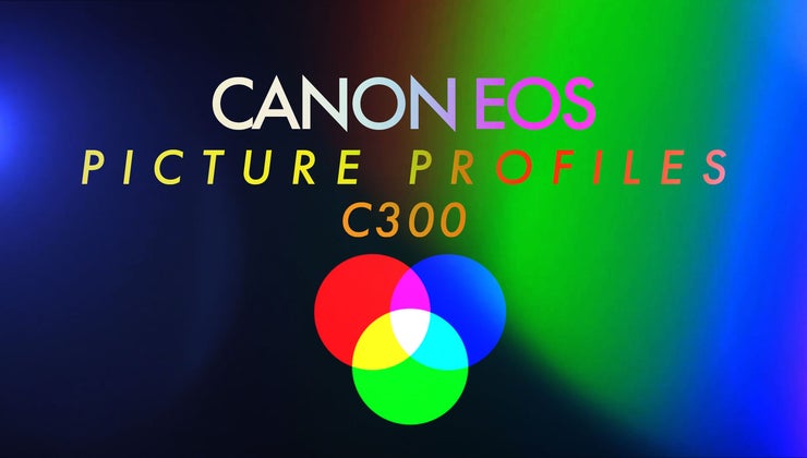 Custom Picture Profiles: Canon C300